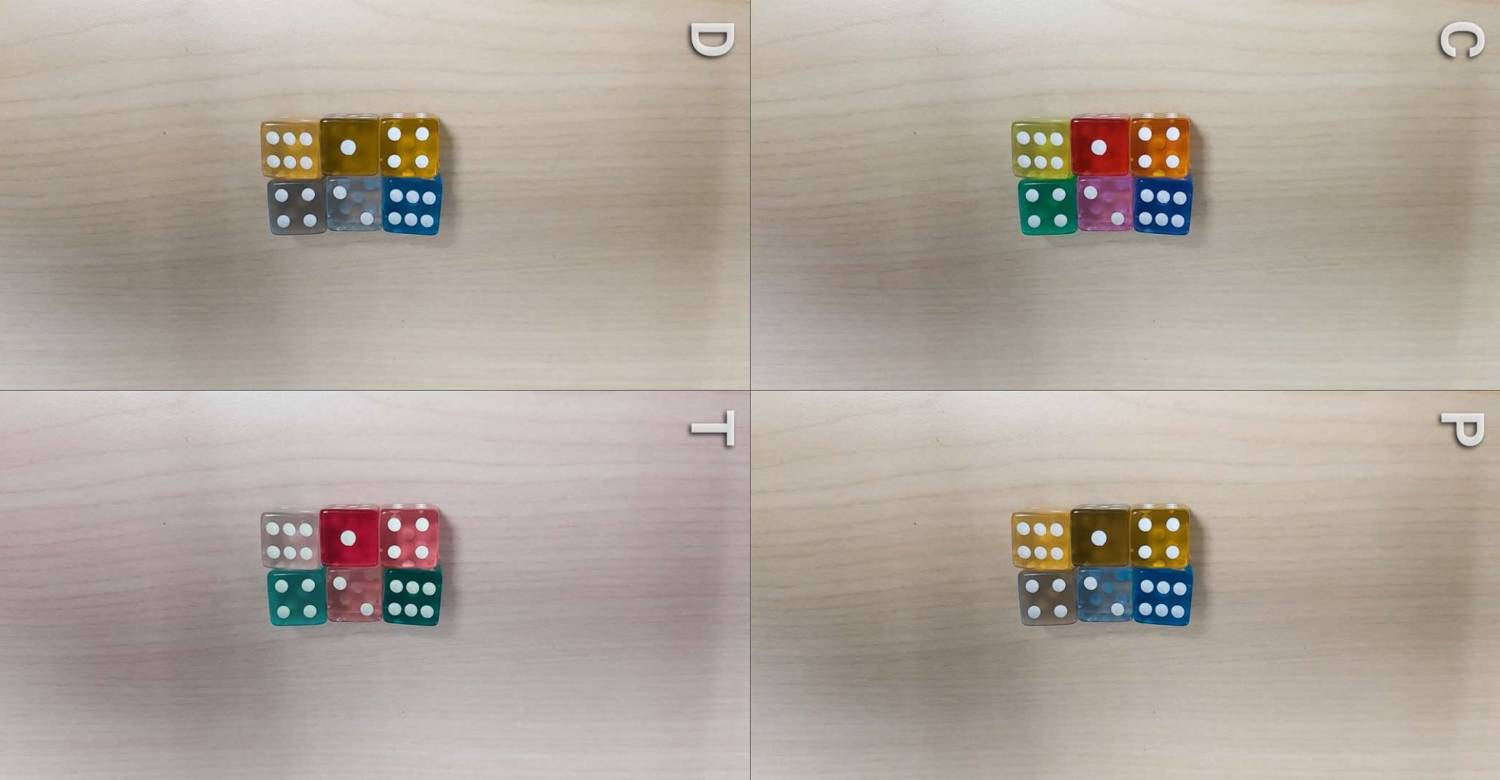 Walking in Burano Roll & Write Game Review – Meeple Mountain