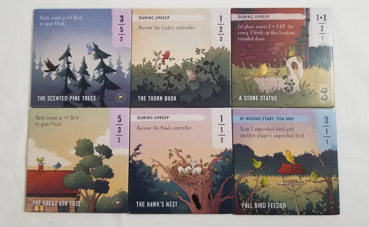 Perch Game Review – Meeple Mountain