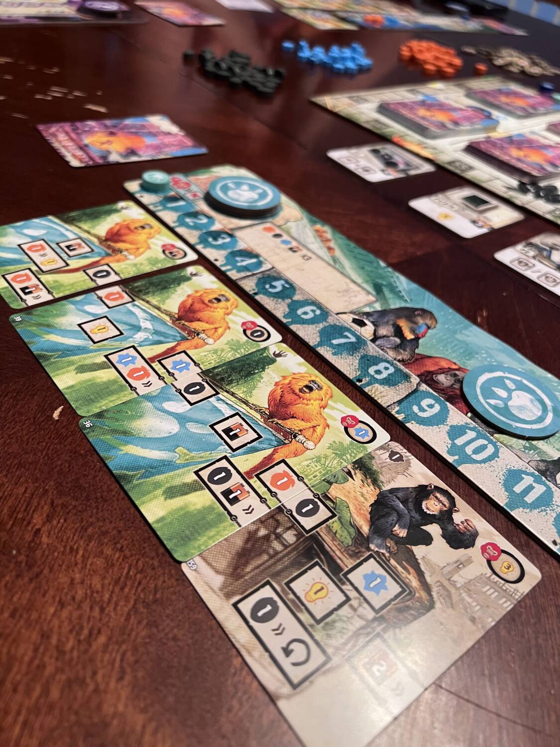 After Us Game Review – Meeple Mountain