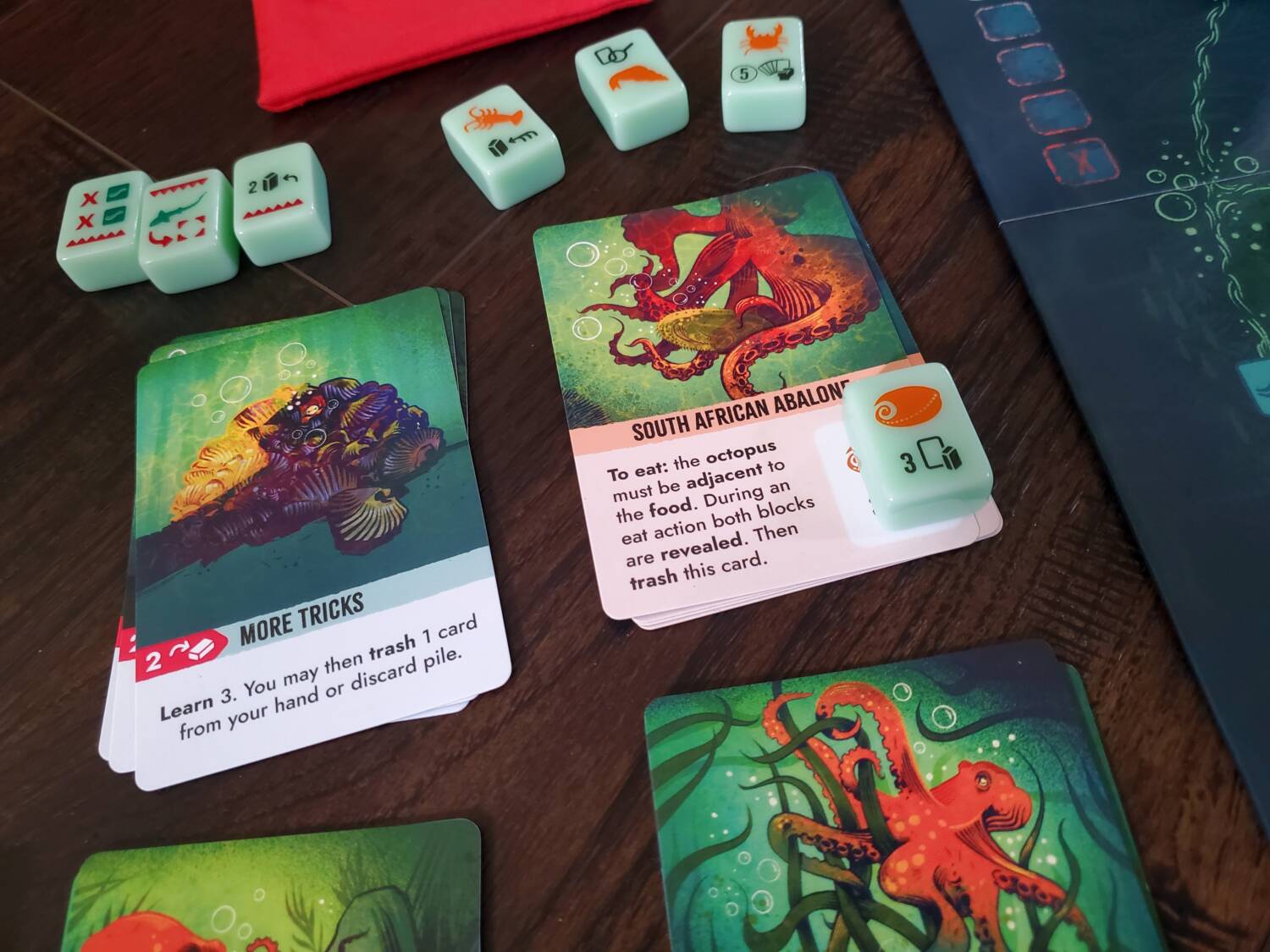 Kelp Game Review – Meeple Mountain