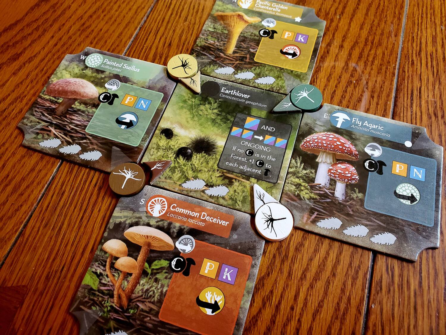 Undergrove Game Review – Meeple Mountain