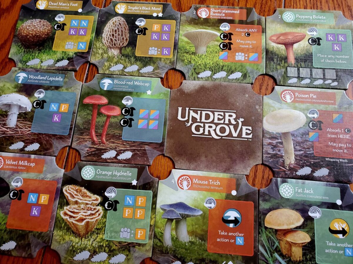 Undergrove Game Review – Meeple Mountain
