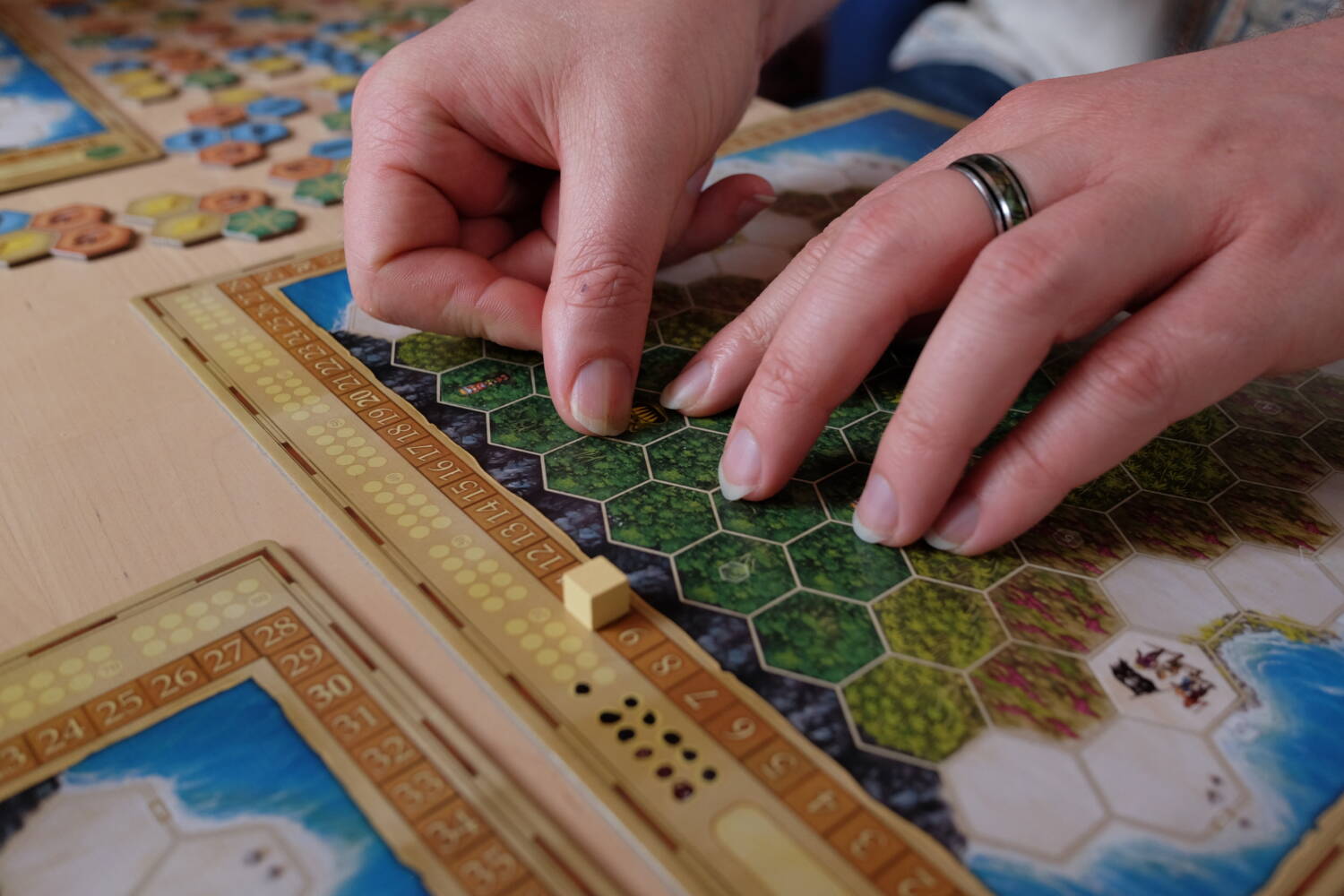 My Island Game Review – Meeple Mountain