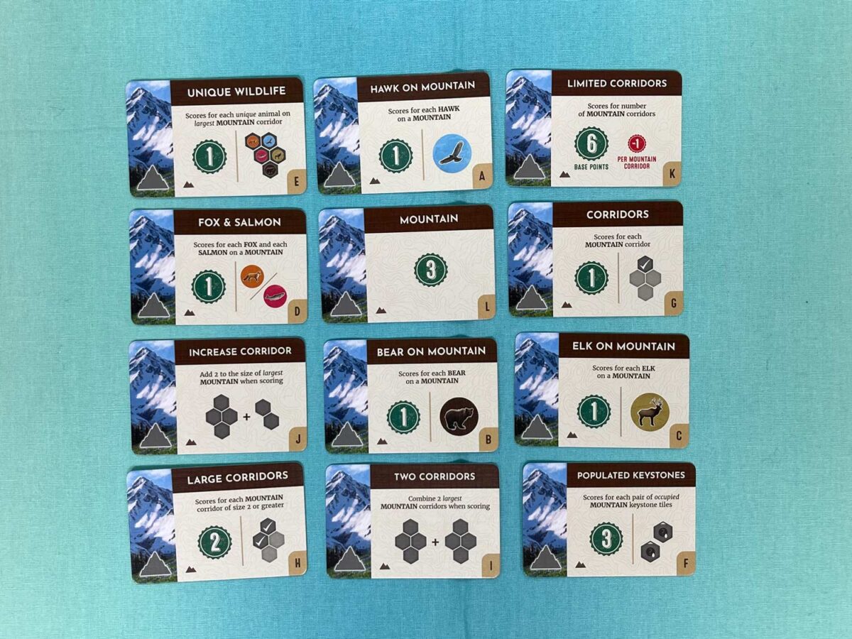 Cascadia: Landmarks Game Review – Meeple Mountain