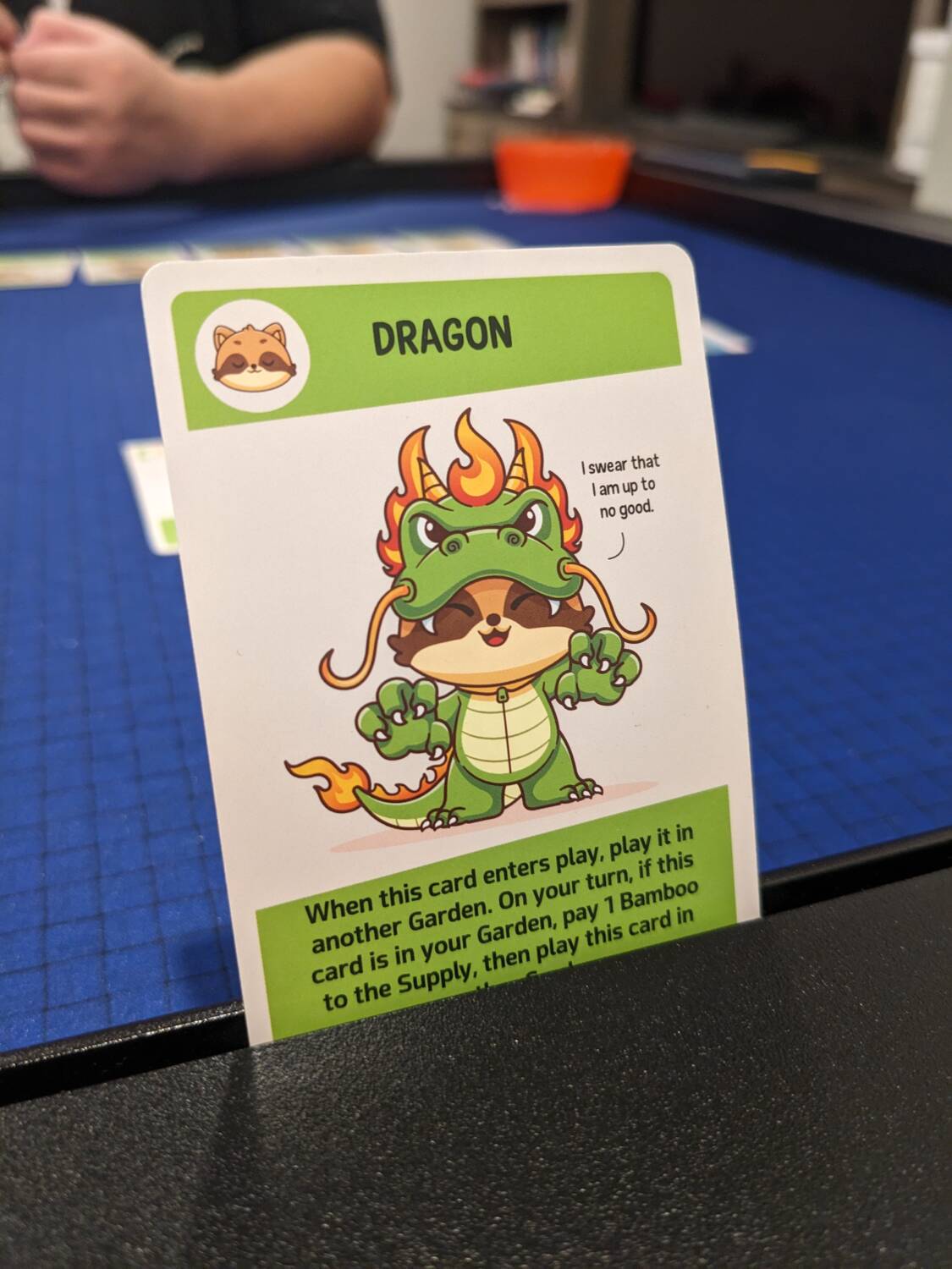 Tanuki Game Review – Meeple Mountain