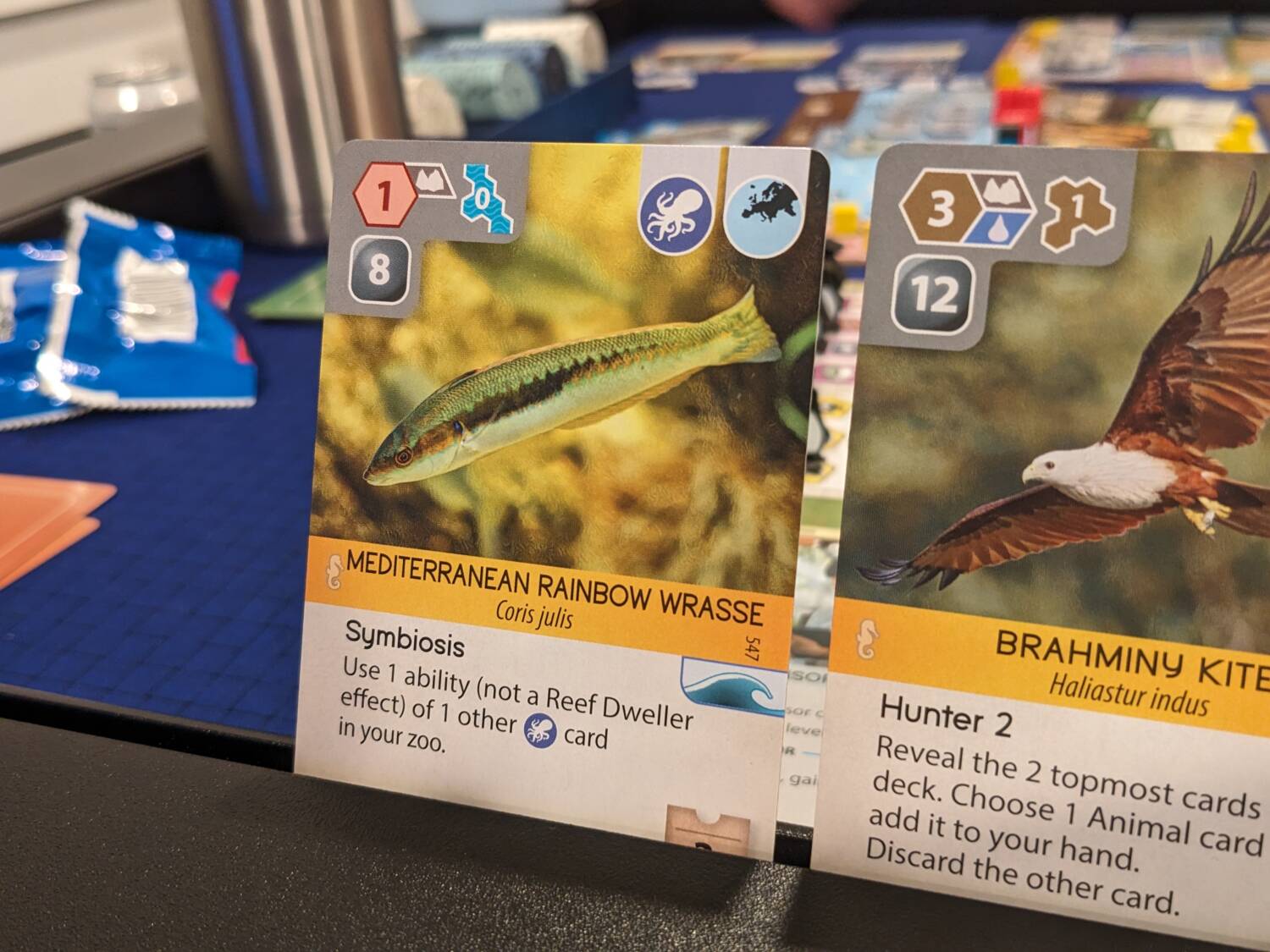 Ark Nova: Marine Worlds Game Review – Meeple Mountain