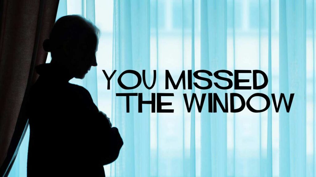 You Missed the Window! – Meeple Mountain