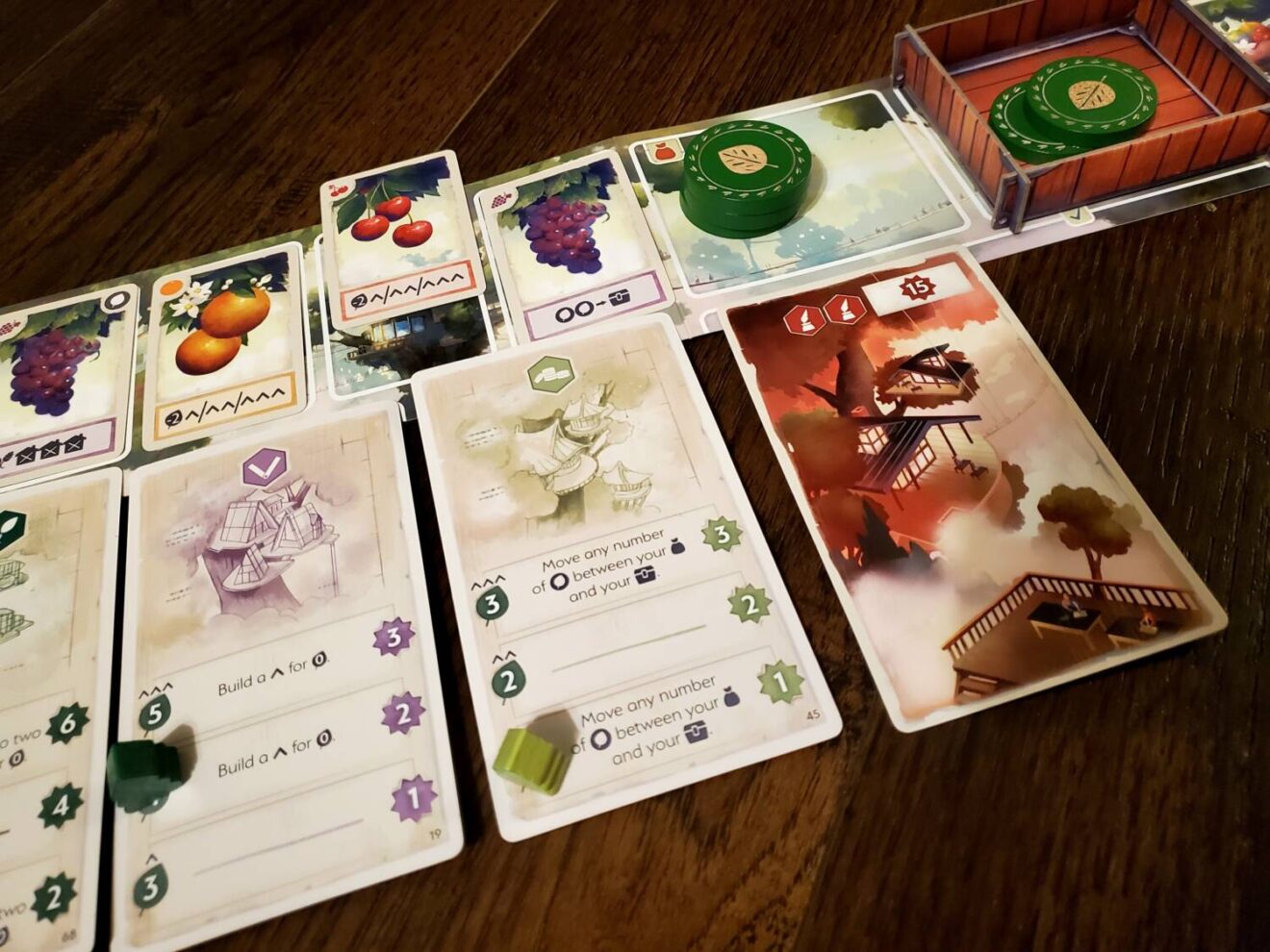 Tree Society Game Review – Meeple Mountain