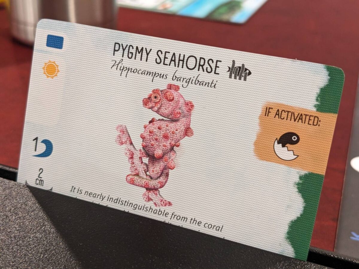 Finspan Game Review – Meeple Mountain