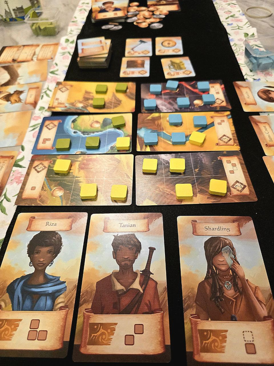 Roam Game Review – Meeple Mountain