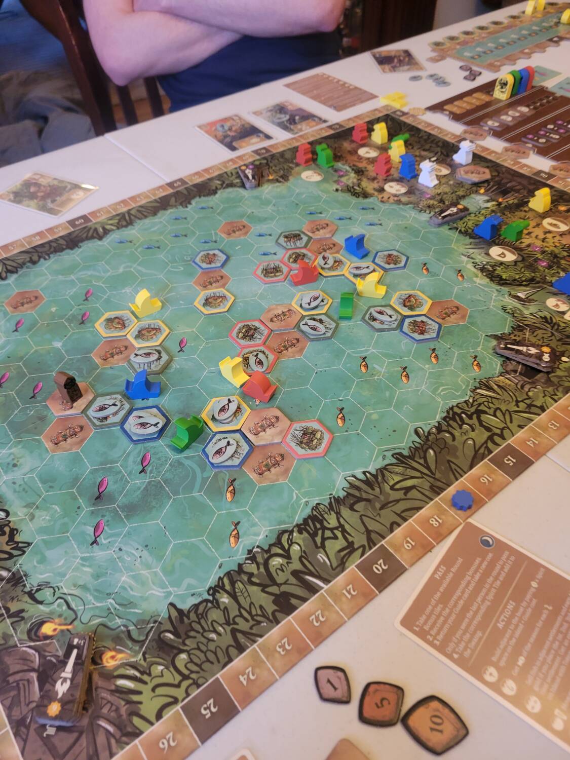 Feya’s Swamp Game Review – Meeple Mountain