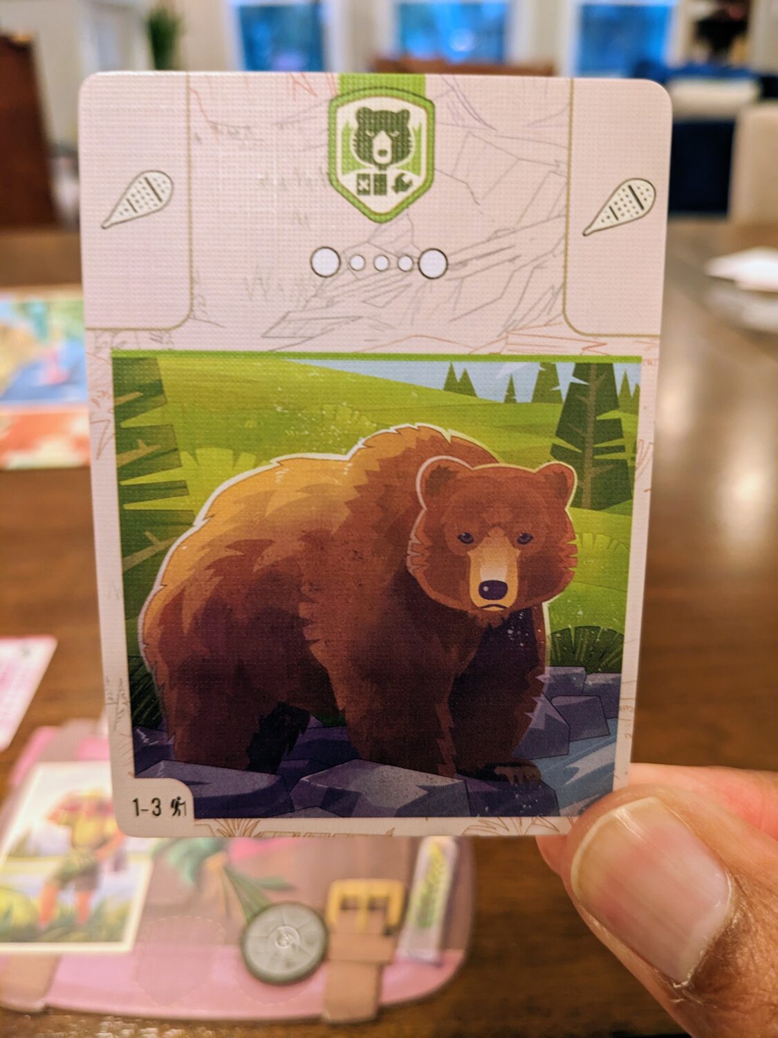 The Peak Team Game Review – Meeple Mountain